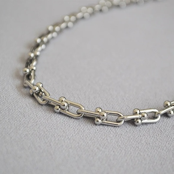 Jewelry | Silver Hardwear U Link Necklace | Poshmark